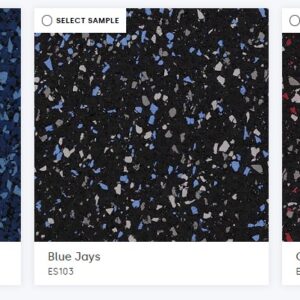 Ecore Performance Beast & Beast Plus – Innovative Fitness