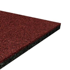 Ecore Performance Beast & Beast Plus – Innovative Fitness