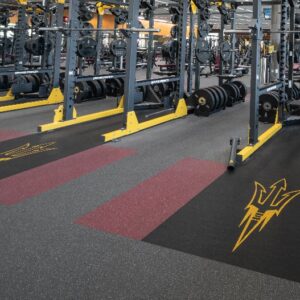 Ecore Performance Beast & Beast Plus – Innovative Fitness