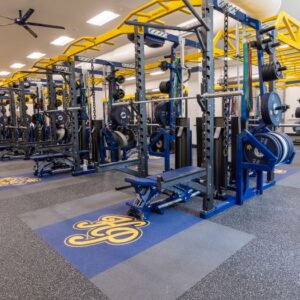 Ecore Performance Beast & Beast Plus – Innovative Fitness