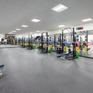 Ecore Performance Beast & Beast Plus – Innovative Fitness