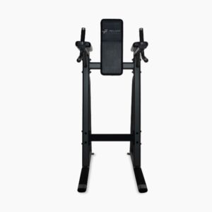 Inflight Vertical Knee Raise / Dip – Innovative Fitness